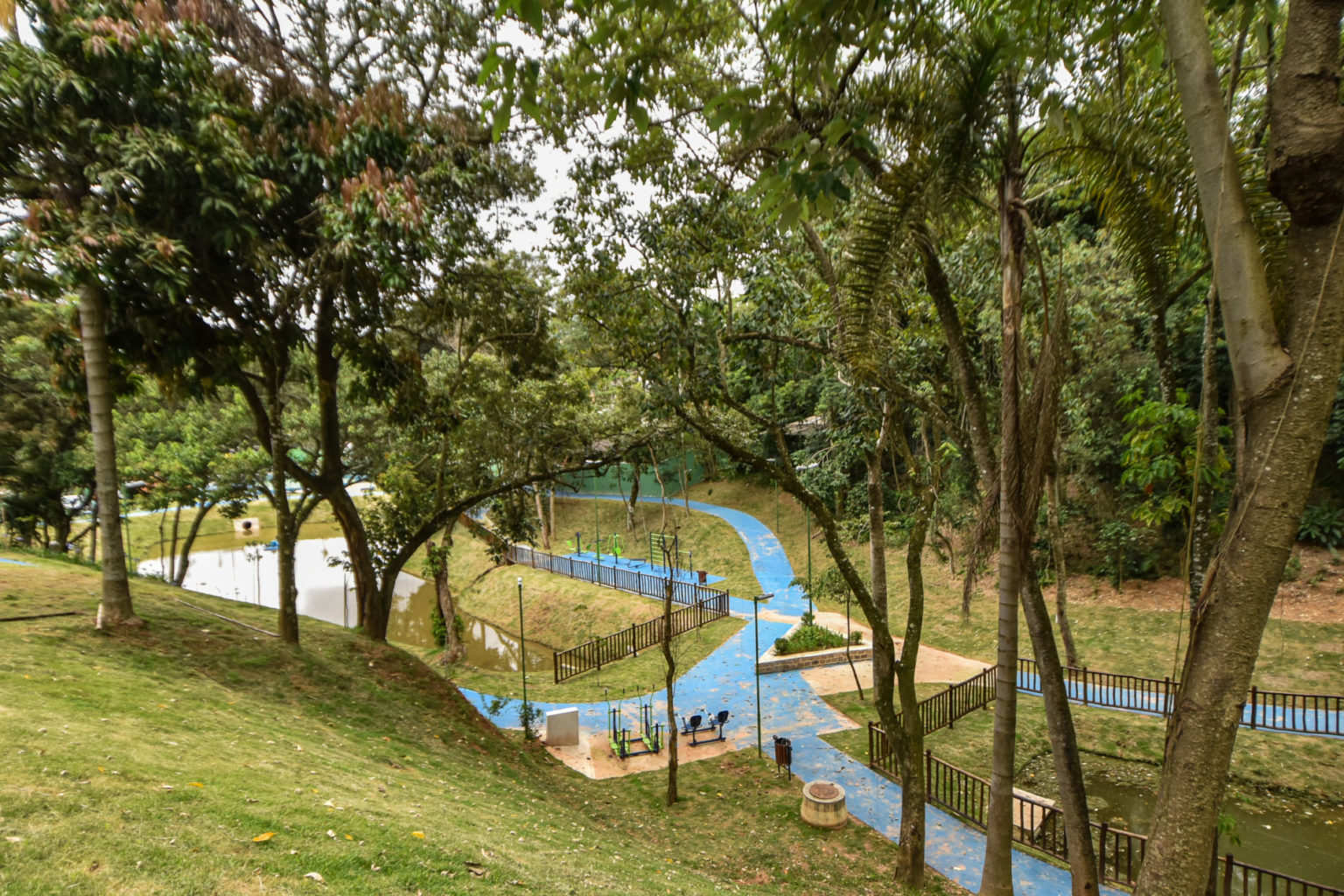 Preservação e desenvolvimento: Parque Linear agrega qualidade de vida e ...