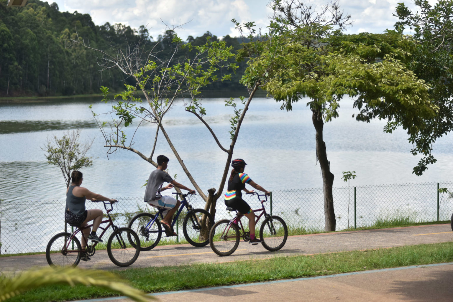 Parque da Cidade e Mundo das Crianças são opções de lazer gratuito no ...