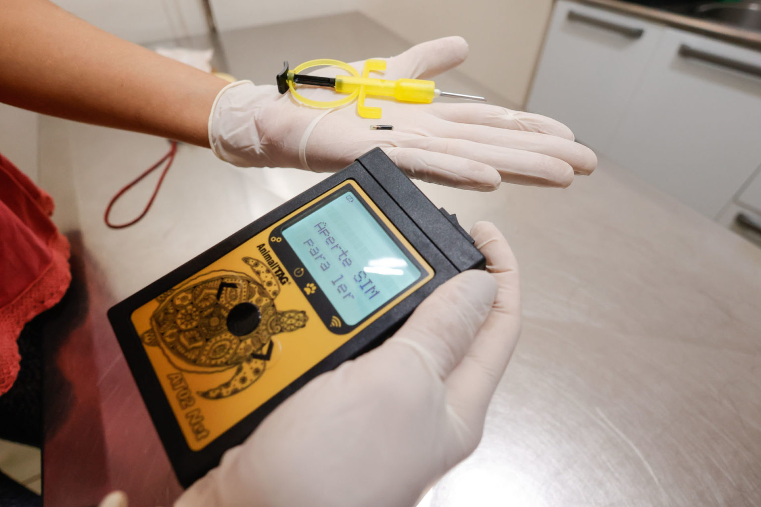 Profissionais e clínicas podem se cadastrar para a microchipagem de ...