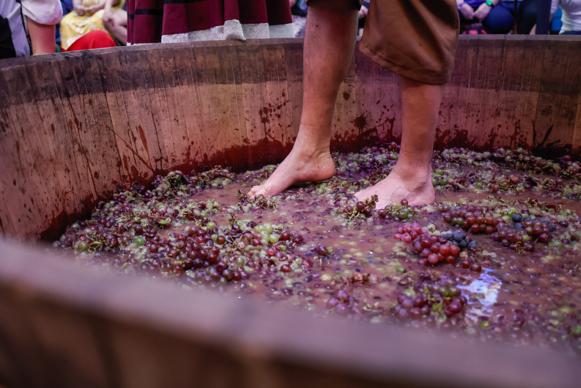 Festa da Uva e Expo Vinhos 2026 começa em janeiro e celebra tradição ...